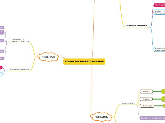 ETAPAS DEL TRABAJO DE PARTO - Mind Map